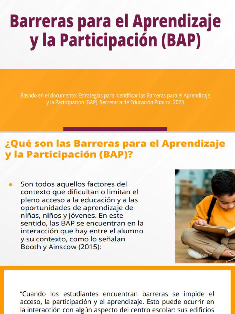 Barreras para El Aprendizaje y La Participación | PDF