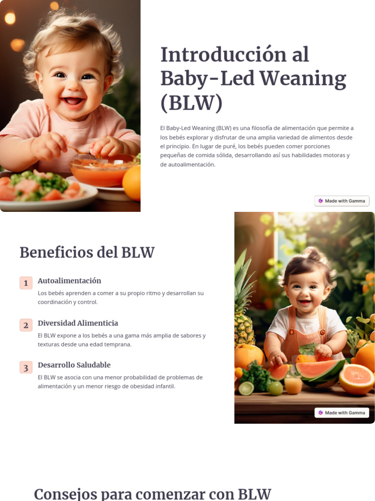 Alimentación BLW | PDF | Alimentos | Fruta