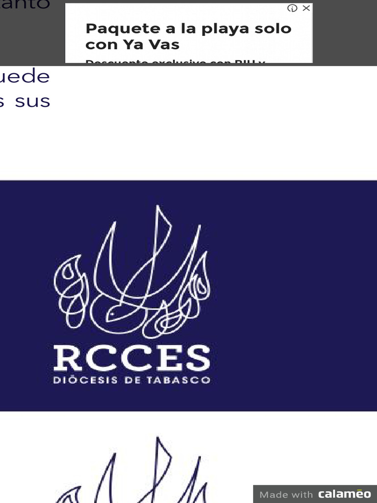 Manual De Identidad Rcces Tabasco 2020 2 | PDF