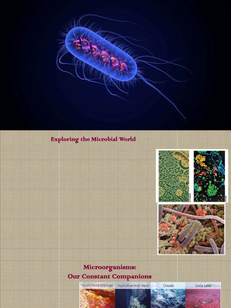 Microbial Evolution - 10-10-23 | PDF | Rna | Microorganism