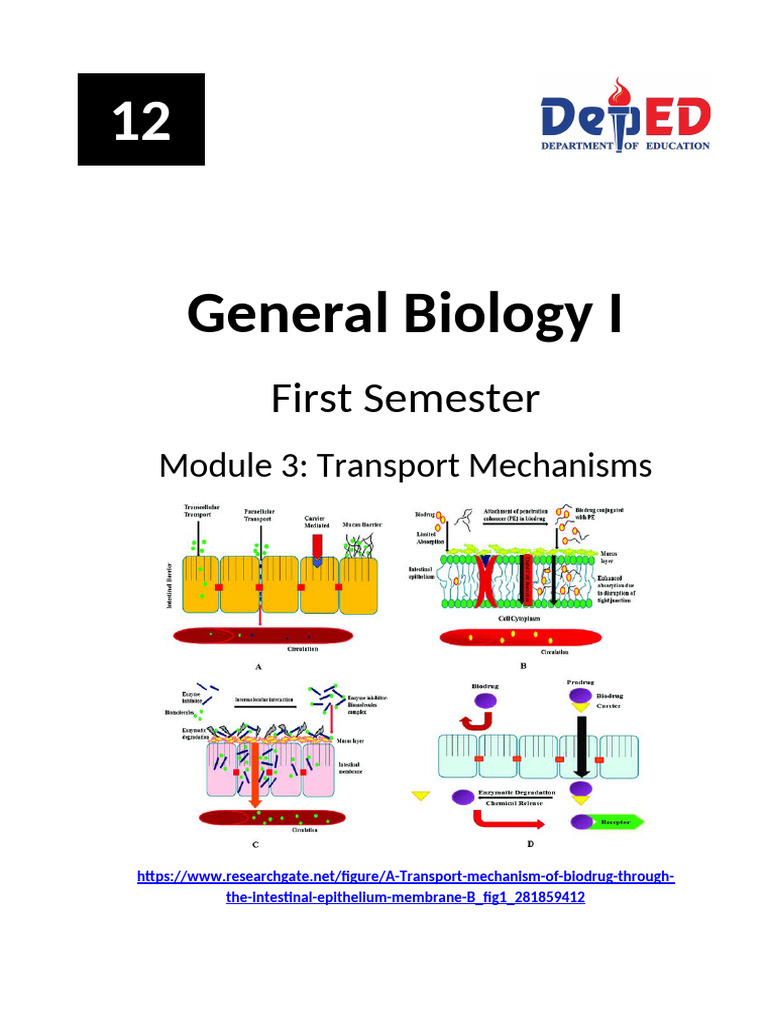 Biology Module 3 | PDF | Cell Membrane | Lipid Bilayer