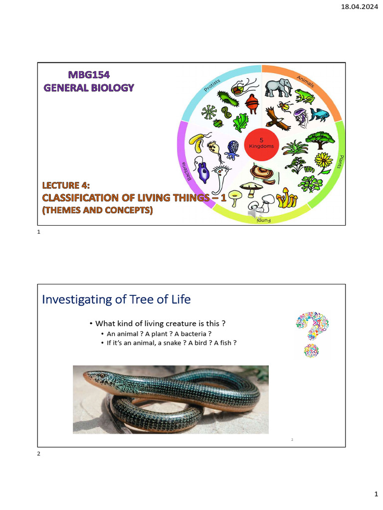 4-classification-of-living-things-1 | PDF | Taxonomy (Biology ...