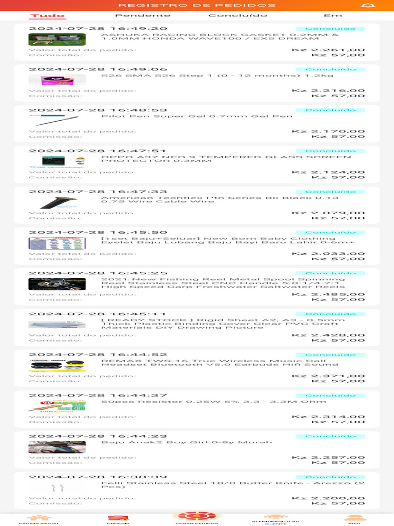 Registro de Pedidos | PDF