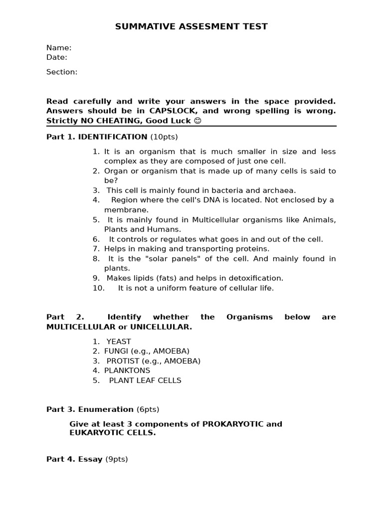 Summative Assestment Test | PDF | Science & Mathematics