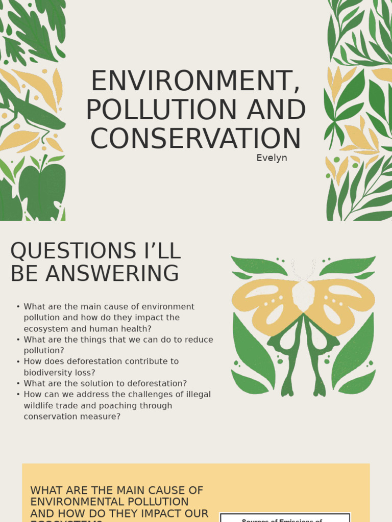 GP Project | PDF | Deforestation | Conservation Biology