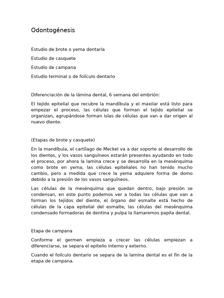 Odontogénesis | PDF | Tejido (biología) | Histología