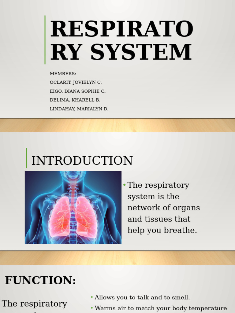 Respiratory System Report Copy 2 | PDF | Respiratory System | Lung