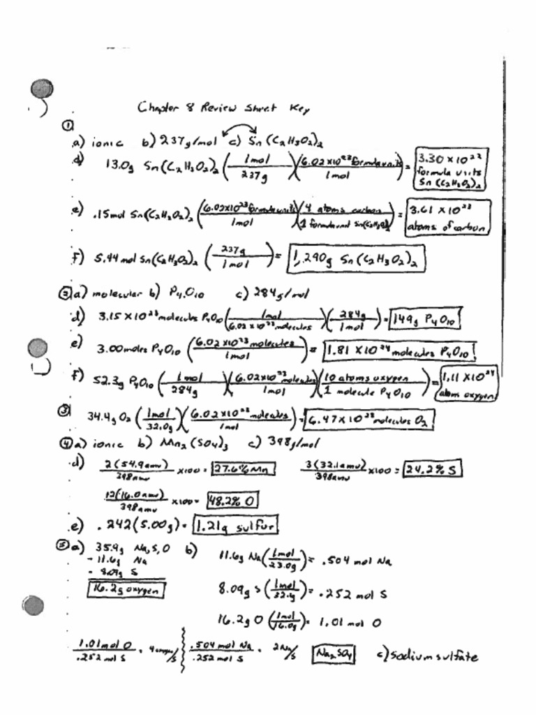 Chapter 8 Review Sheet Key (Honors) | PDF