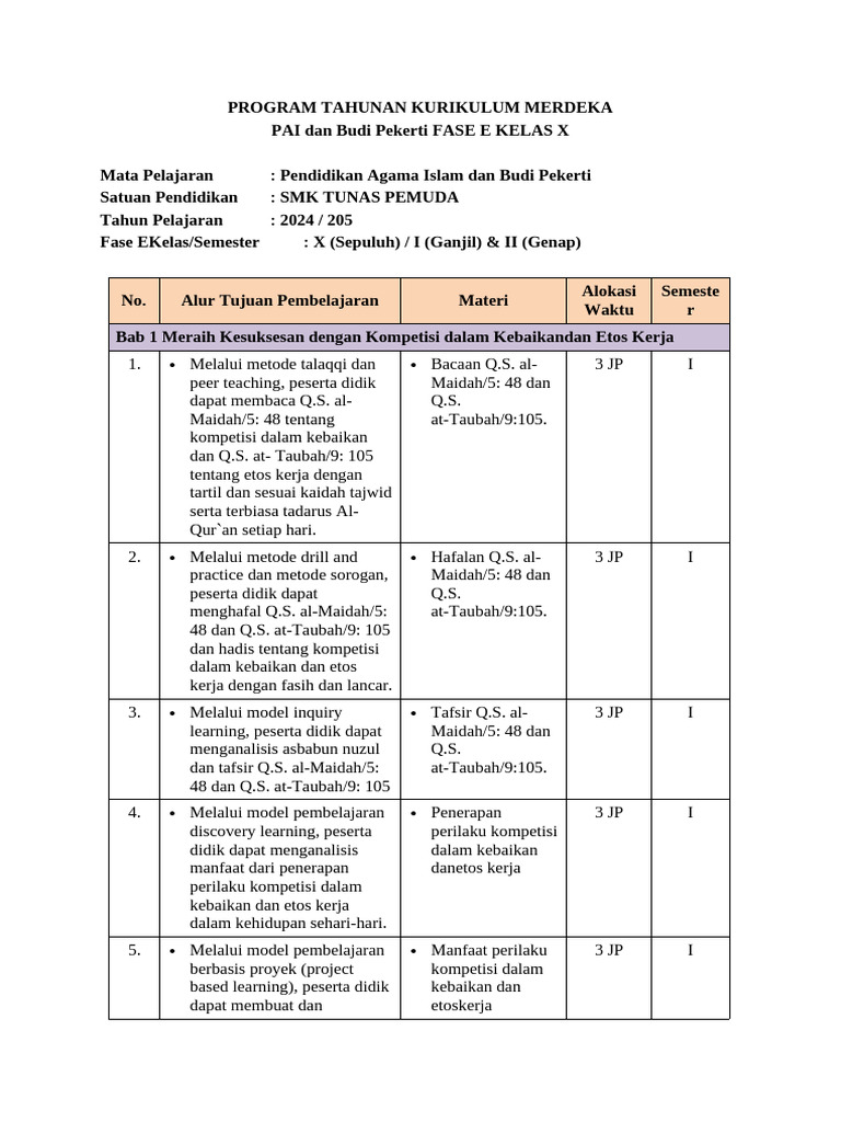 PROTA Fase E - PAI | PDF