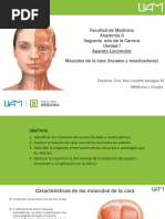 Función e inervación del músculo mentoniano | PDF