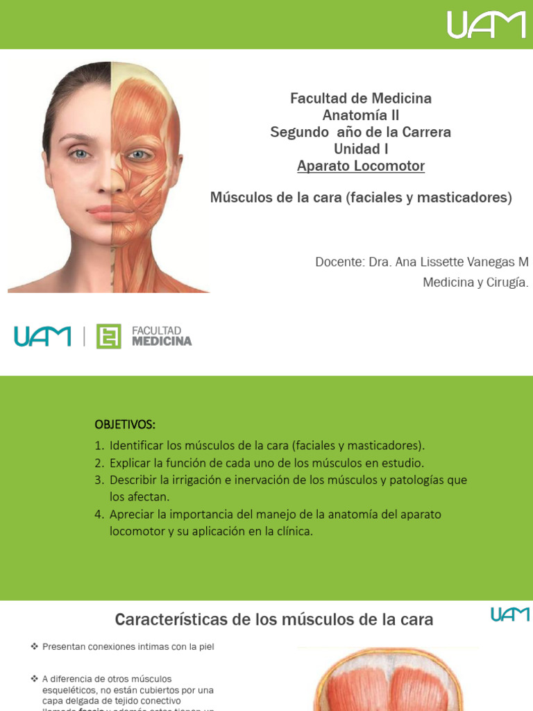 Músculos de La Mimica Facial | PDF | Nariz humana | Anatomía humana