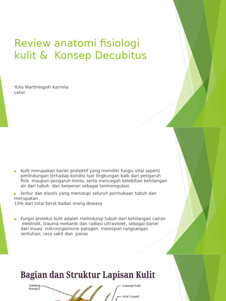 Anfis Kulit & Dekubitus | PDF | Sains & Matematika