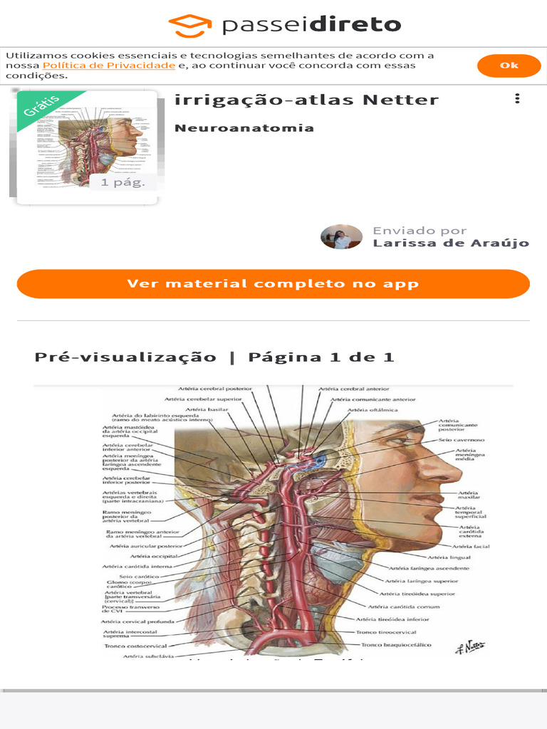 Irrigação Cerebral e Vascularização | PDF | Cabeça e pescoço humano ...