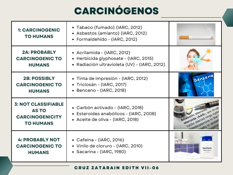 Carcinogen Classification Guide | PDF