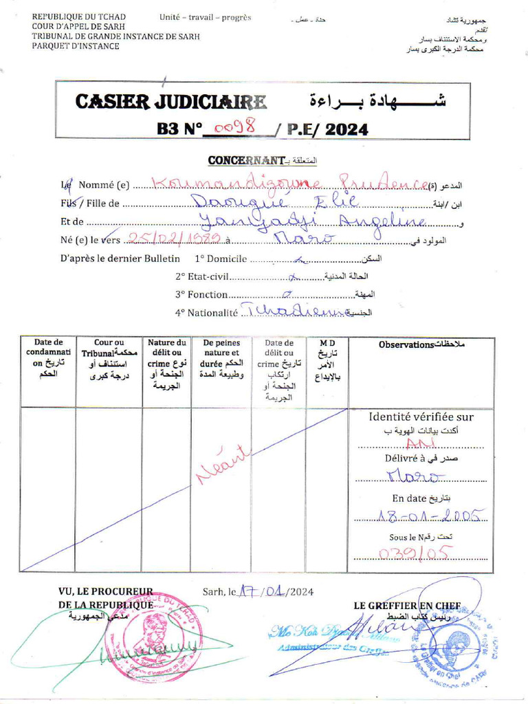 Casier Judiciare | PDF