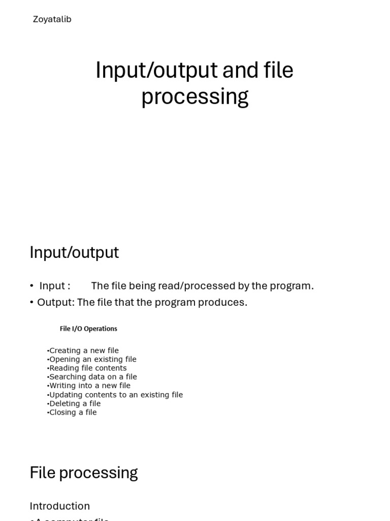 Input/output and File Processing | PDF | Art | Computers Input/output and File Processing | PDF | Art | Computers