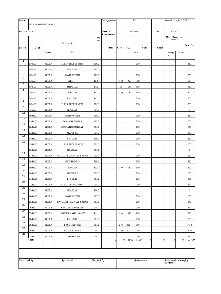 Traval Exp Format FINAL JULY | PDF