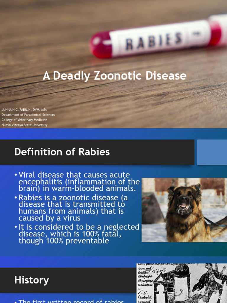 Rabies PDF Nstp | PDF | Rabies | Animal Welfare