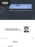 Manual - Rabia en Humano | PDF | Inmunofluorescencia | Rabia