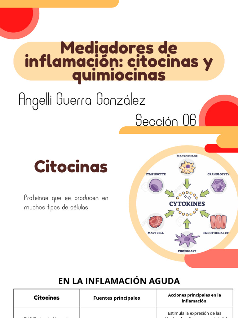 Mediadores de Inflamación Citocinas y Quimiocinas. Angelli Guerra ...