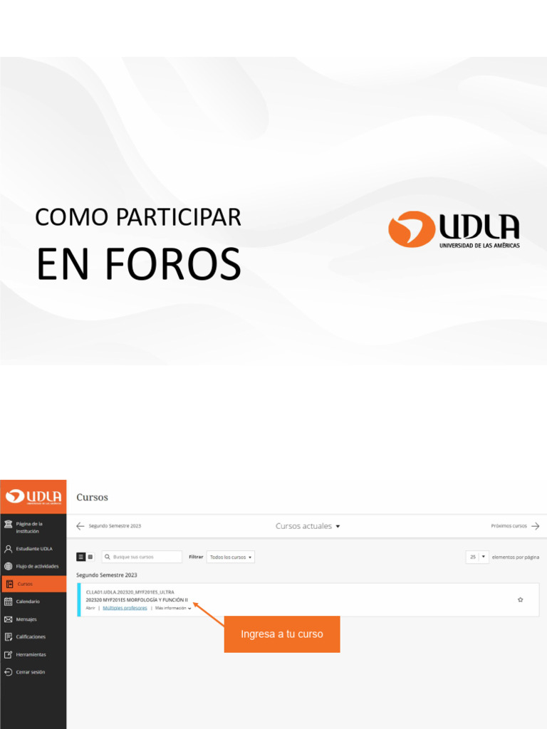 (4) Indicaciones para participar en los Foros | PDF