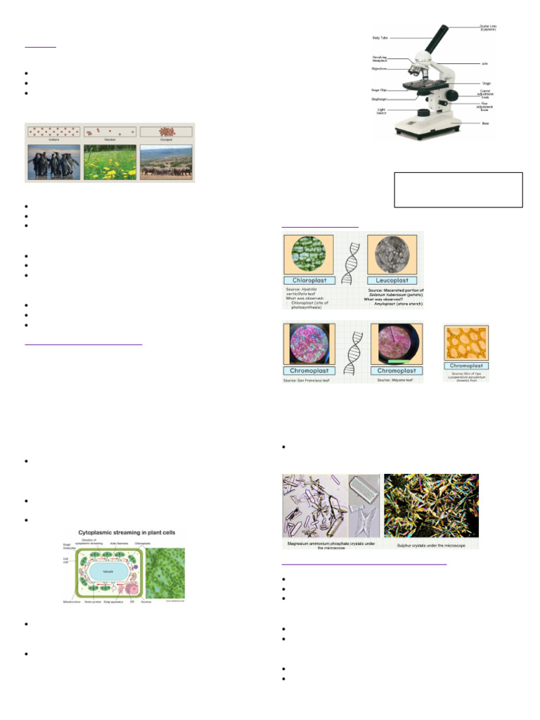 Botany Laboratory Exercises Overview | PDF | Meiosis | Mitosis