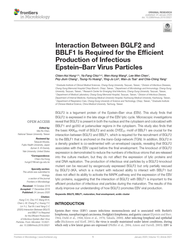 BGLF2-BBLF1 Interaction in EBV Production | PDF | Immunofluorescence | Virus