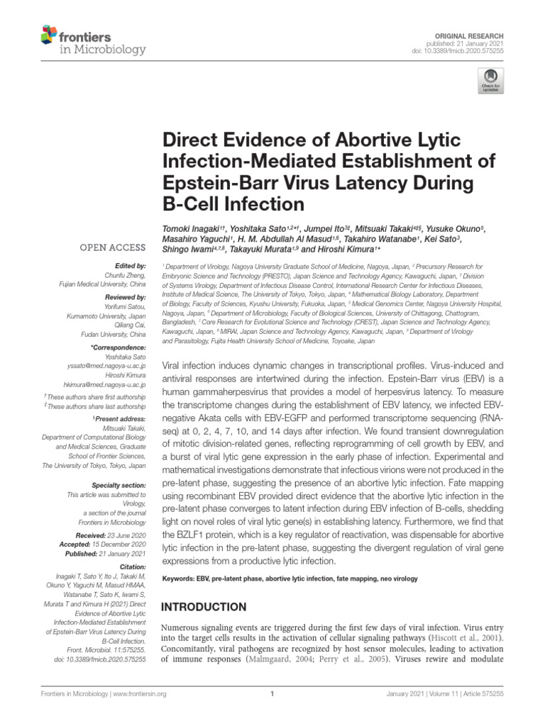 Direct Evidence of Abortive Lytic Infection-Mediated Establishment of Epstein-Barr Virus Latency ...