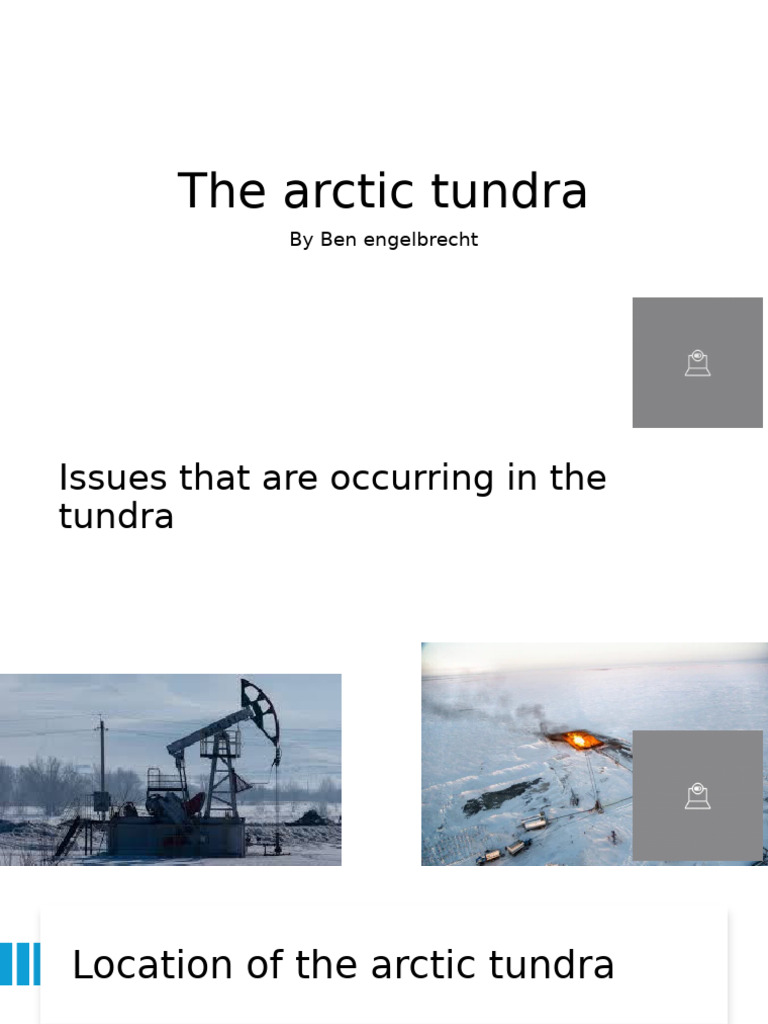 Arctic Tundra | PDF