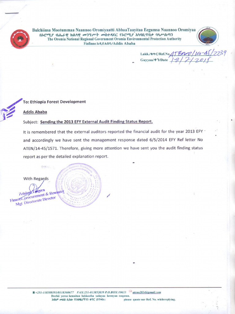 2013 External Audit Status Report | PDF