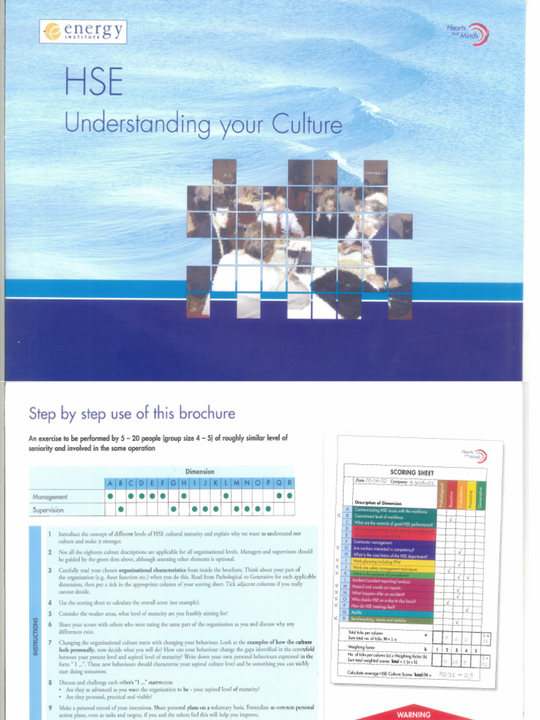 HSE-Understanding Your Culture-Hearts and Minds 2019 | PDF