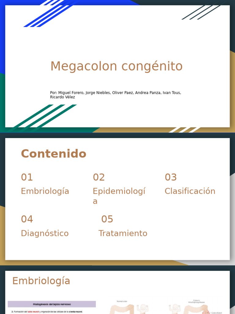 Megacolon Congénito | PDF