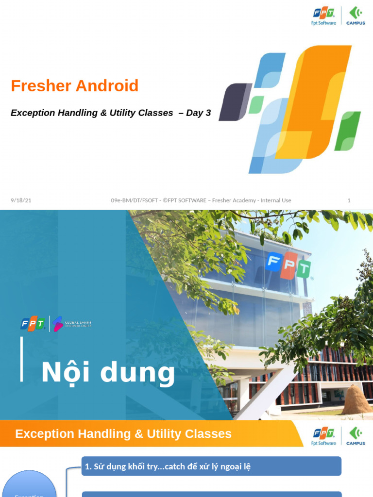 Day 3 - Exception Handling - Utility Classes | PDF