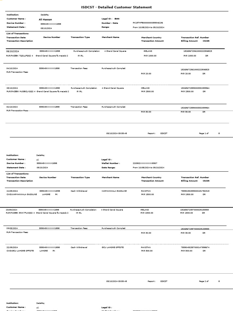 SadaPay Customer Statement 08/24-10/24 | PDF | Debits And Credits ...
