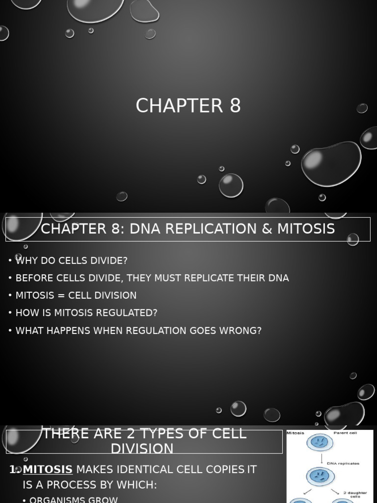 DNA Replication and Mitosis Explained | PDF | Cancer | Cell Growth