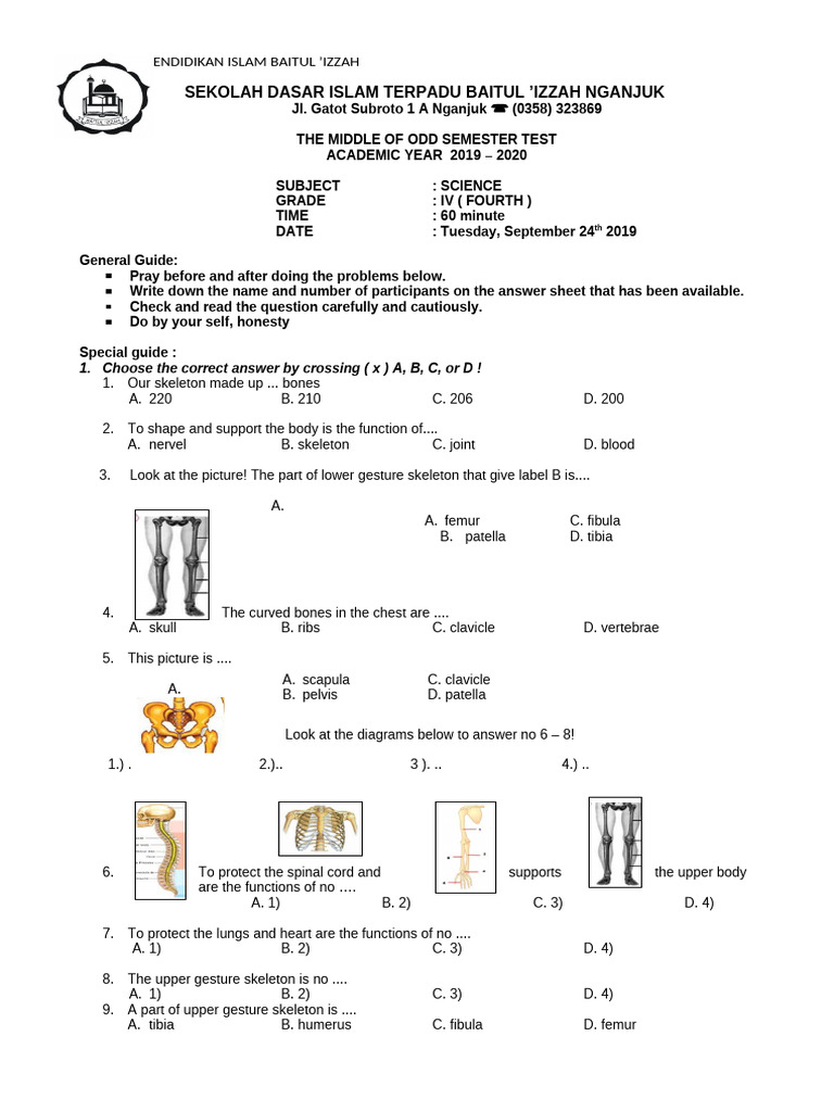 Latihan Soal Science 4 PTS 1 | PDF | Arm | Human Anatomy