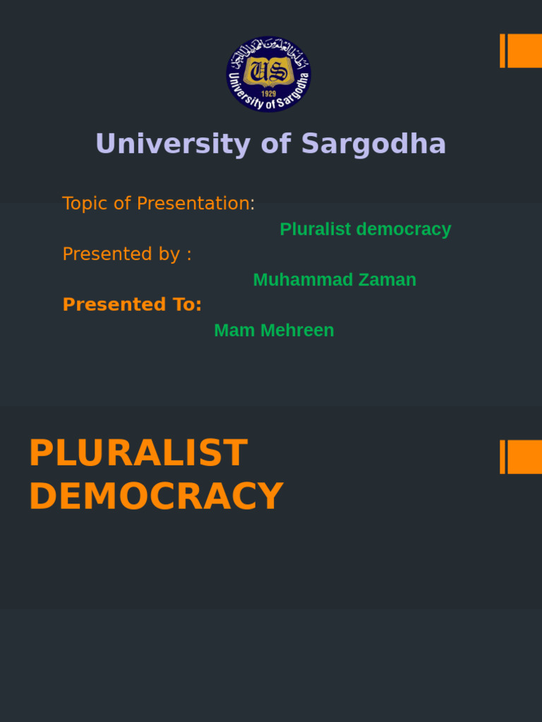 Pluralist Democracy | PDF