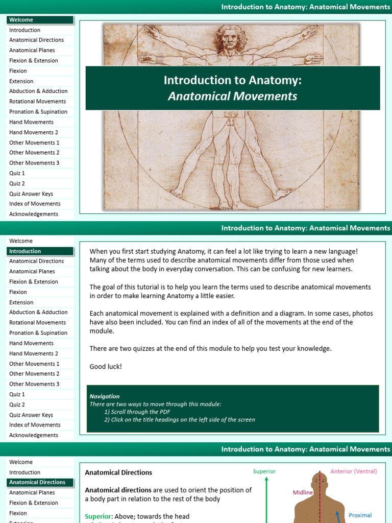 Pronation and Supination Explained | PDF | Anatomical Terms Of Motion ...