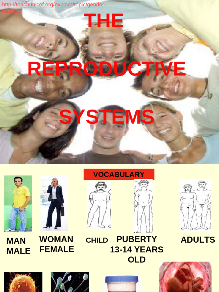 reproductive system 6th grade | PDF | Reproductive System | Biological ...