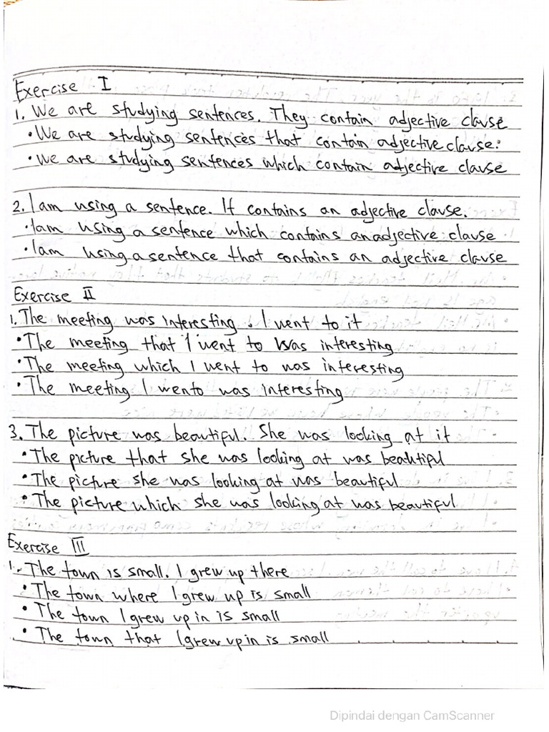 Adjective Clause Assignment 1 | PDF