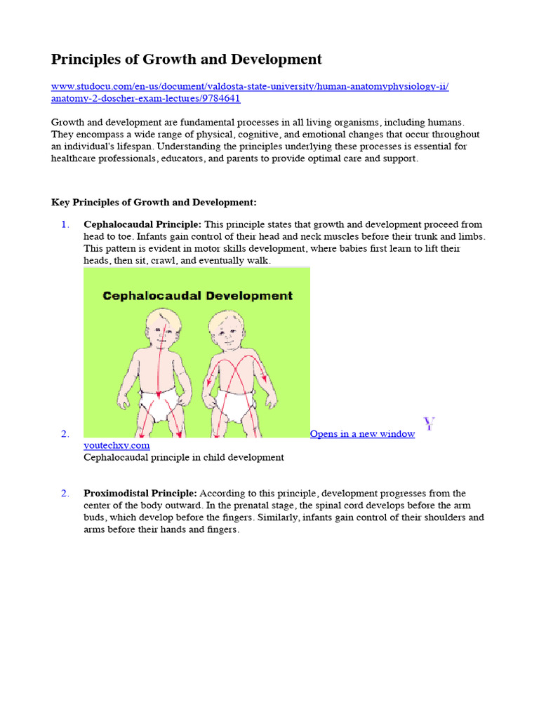 Child Development Course Content | PDF | Attachment Theory | Embryo
