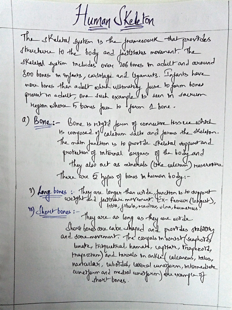 Skeleton Assignment | PDF | Religion & Spirituality