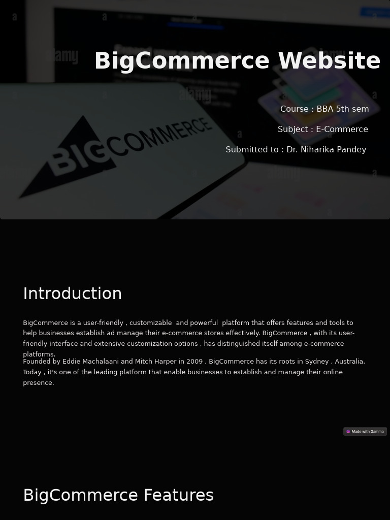 BigCommerce Website | PDF