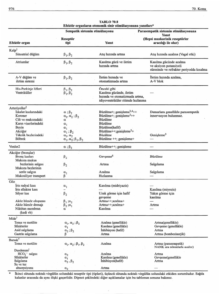 Otonom Reseptã R Tablo | PDF