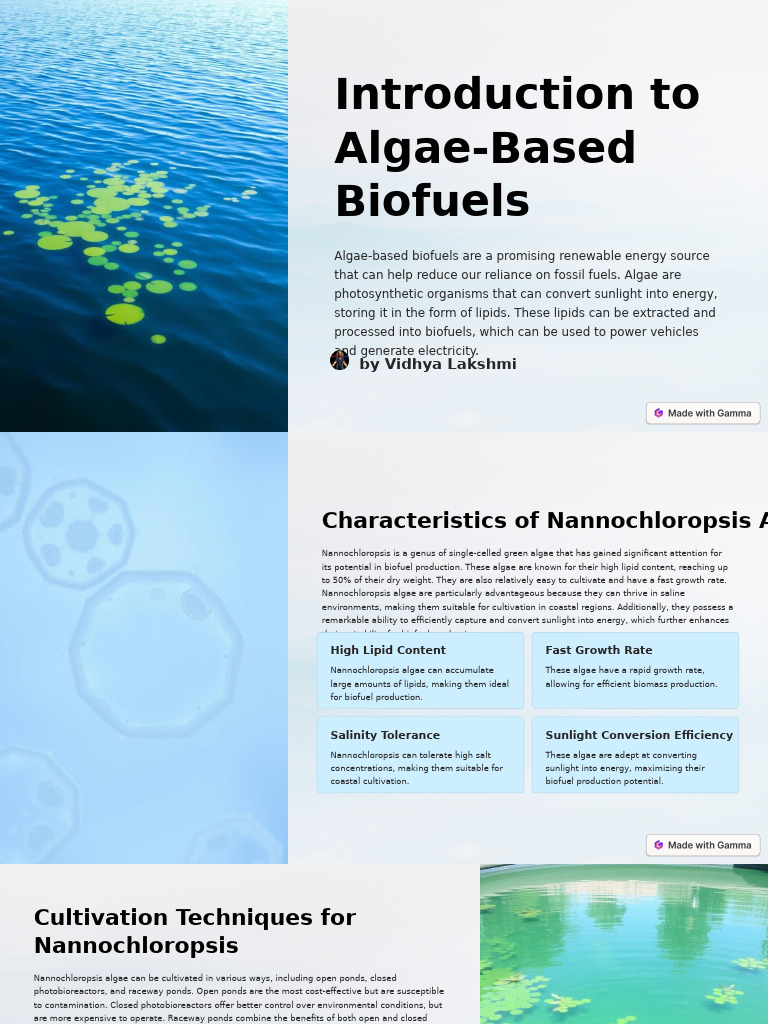 Introduction To Algae Based Biofuels | PDF | Algae Fuel | Biofuel