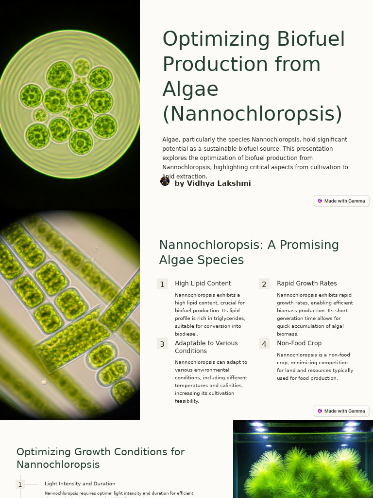 Optimizing Biofuel Production From Algae Nannochloropsis | PDF | Algae ...