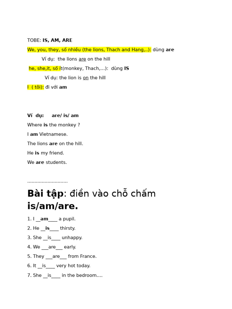 Bài tập động từ tobe | PDF