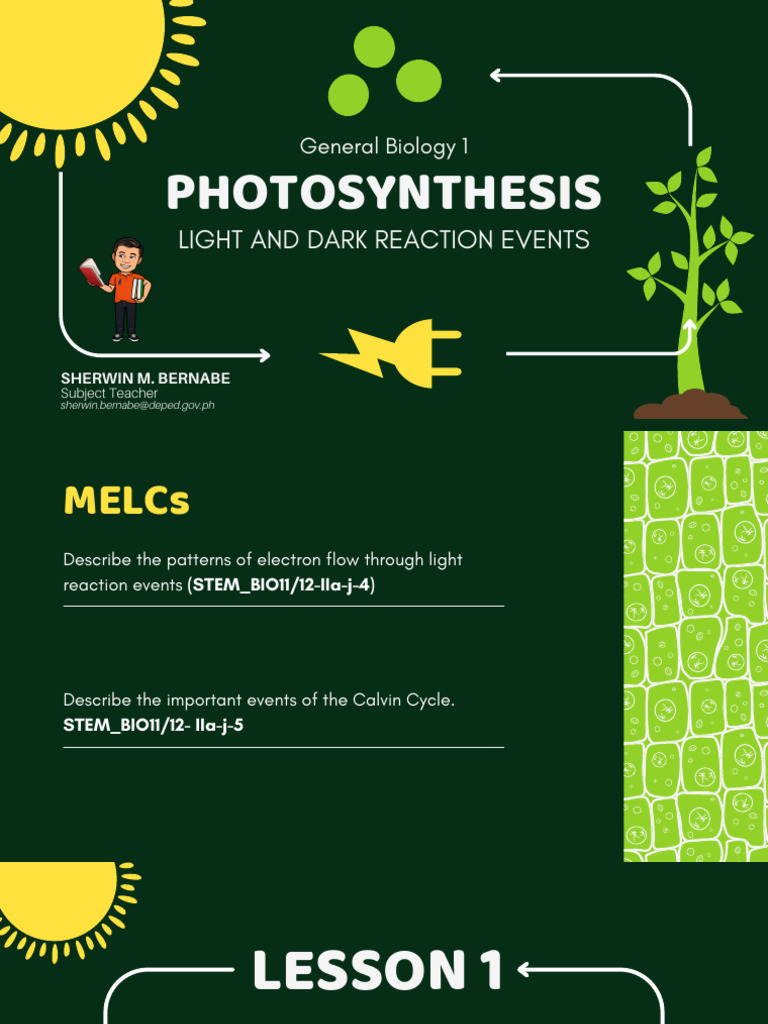 Q2 L3 Gen. Bio. 1 Photosynthesis | PDF | Photosynthesis | Chloroplast