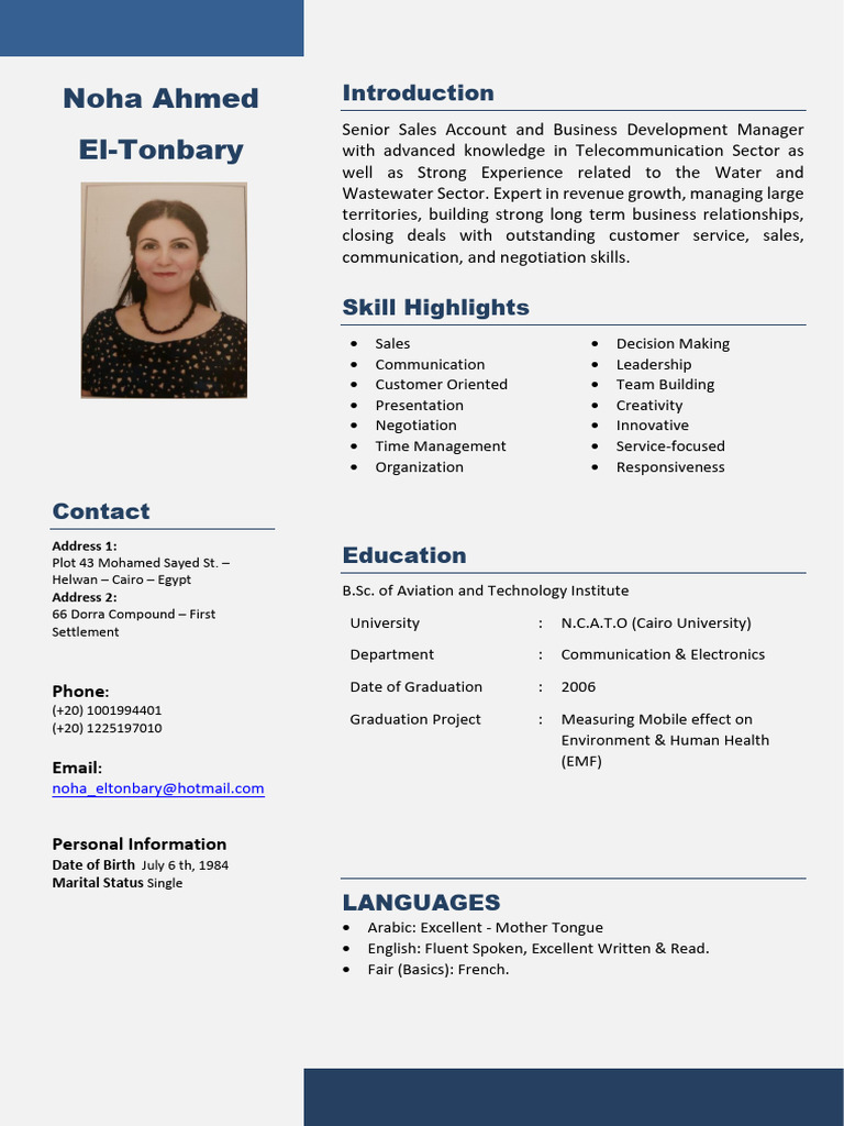 Noha Ahmed Eltonbary CV-1 | PDF | Supply Chain | Procurement