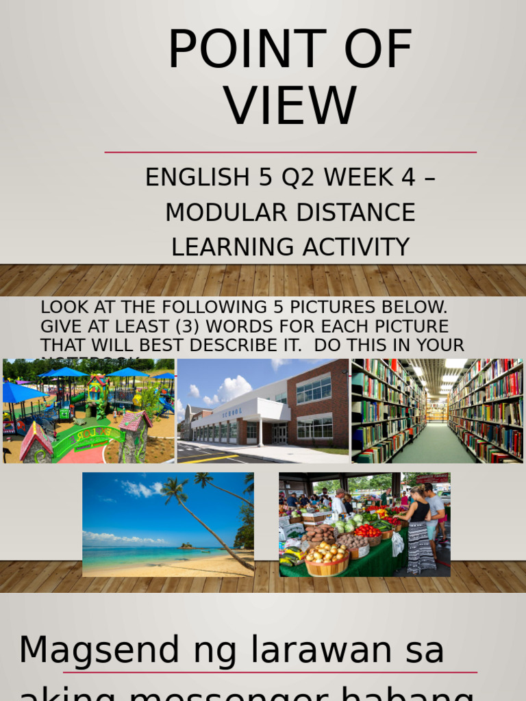 Modular Activity 1 - English 5-Point of View | PDF